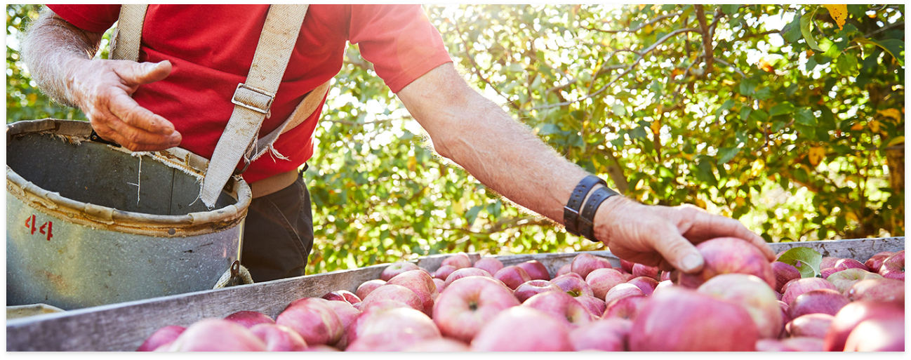 Grower Owned - Knouse Foods