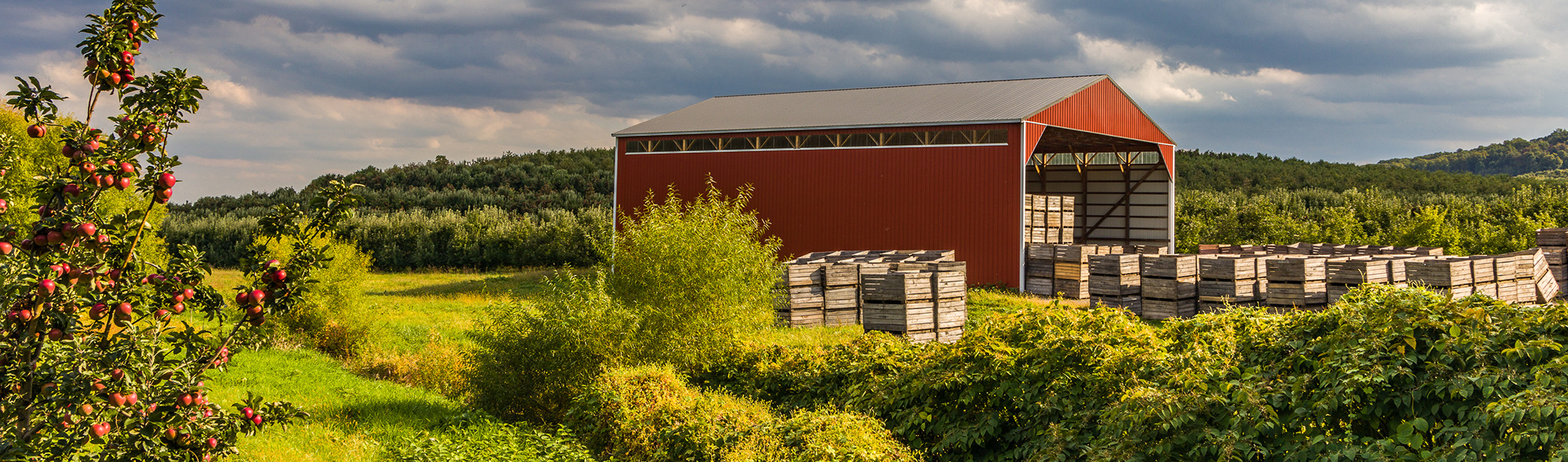 Compliance - Knouse Foods