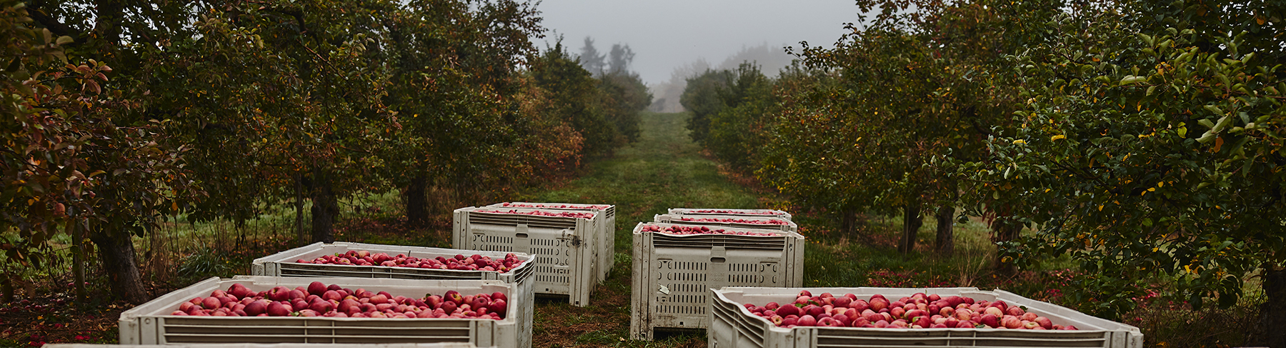 Types of Careers - Knouse Foods