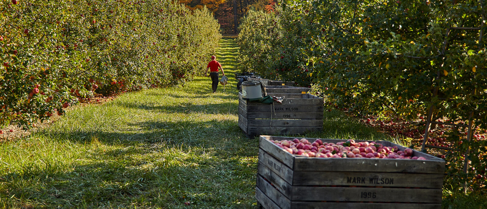 Careers - Knouse Foods